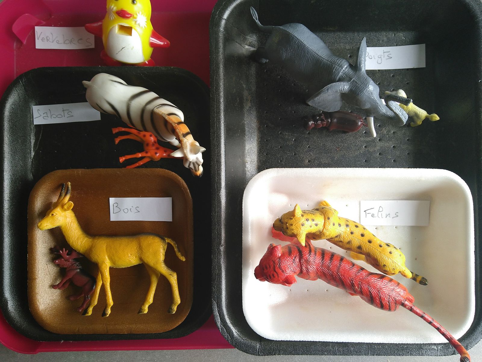 Classification emboitées — Wikidebrouillard